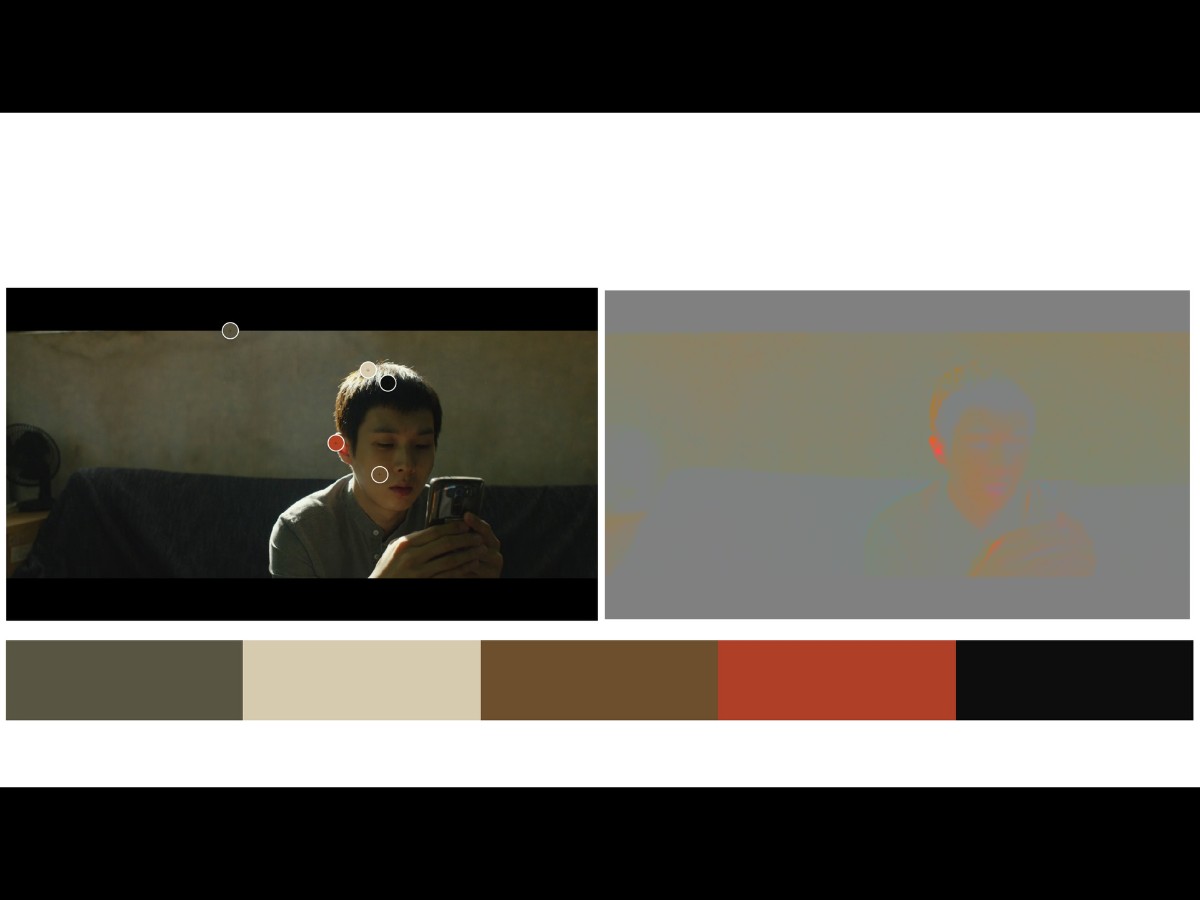 Parasite Scene Analysis