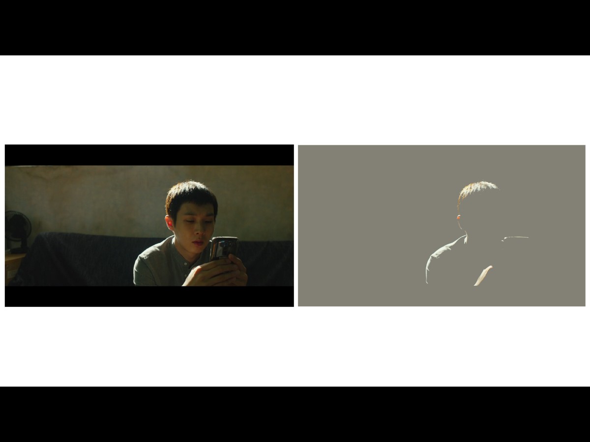 Parasite Scene Analysis