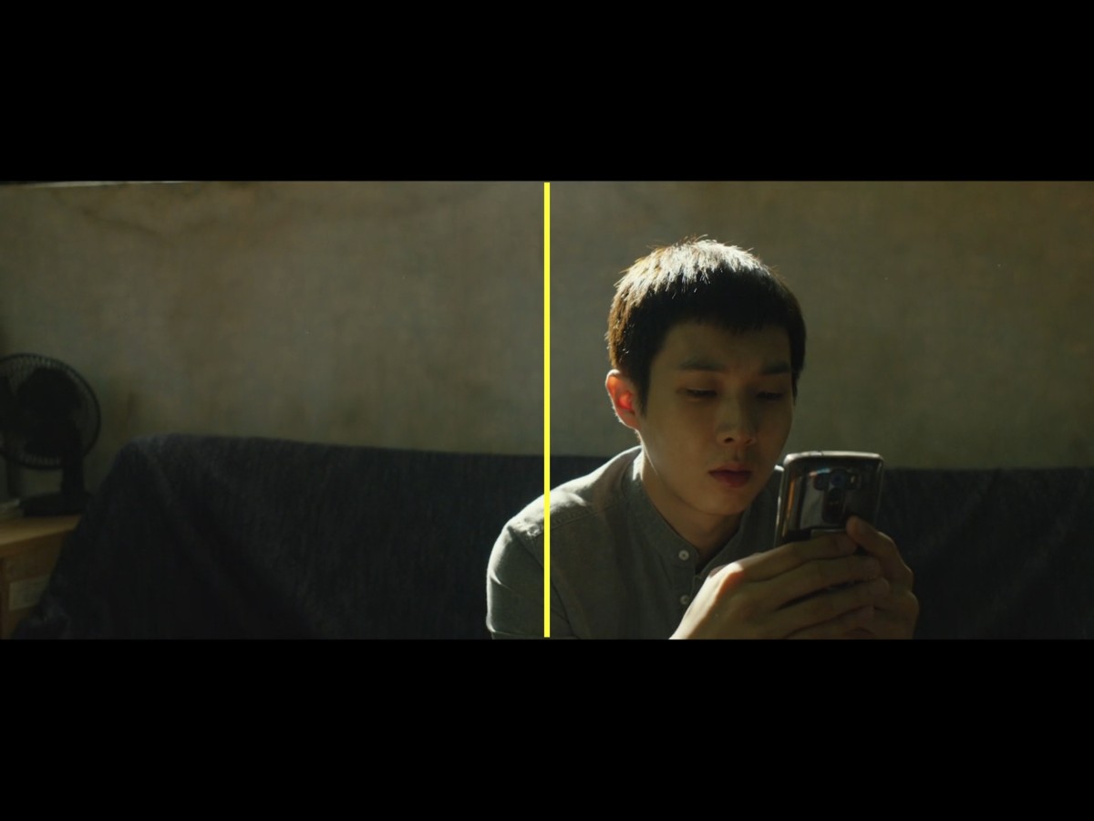 Parasite Scene Analysis