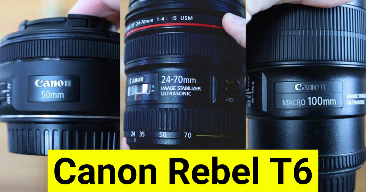 Best Lenses for the Canon Rebel T6