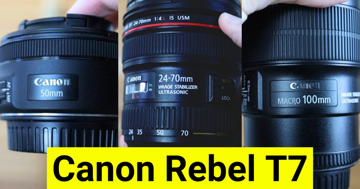 Best Lenses for the Canon Rebel T7