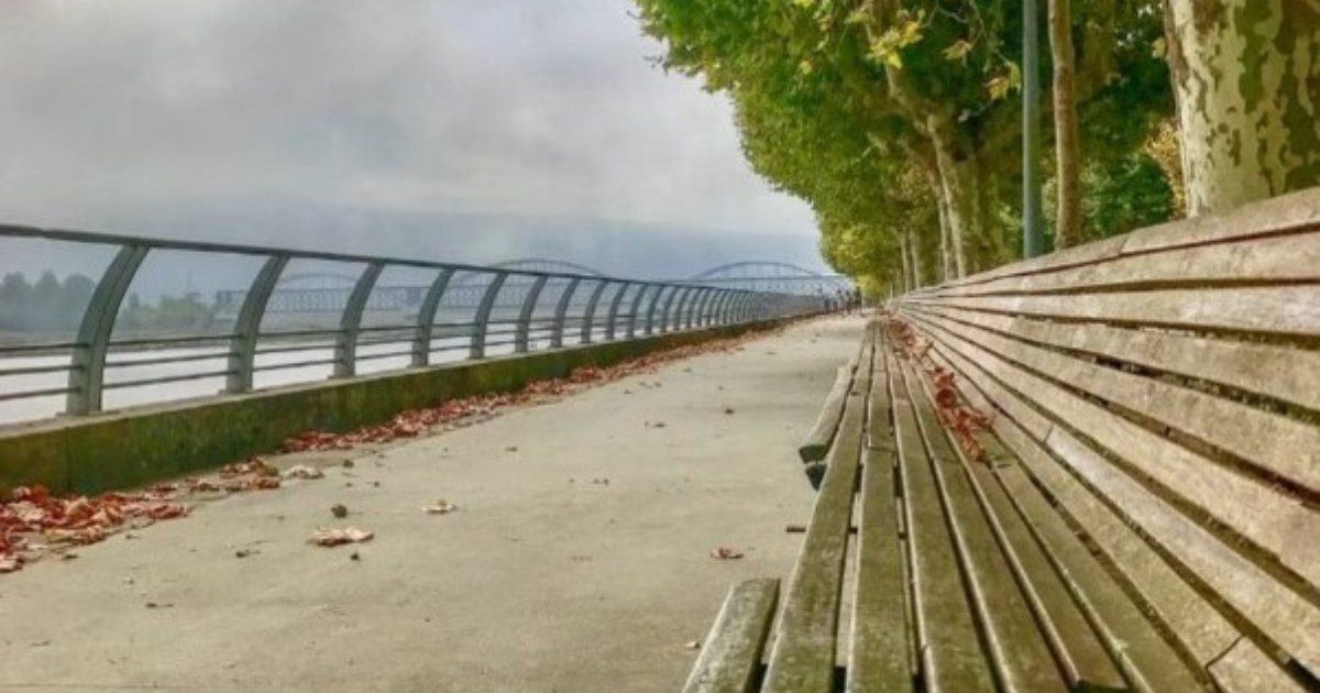 Composition Styles in Photography