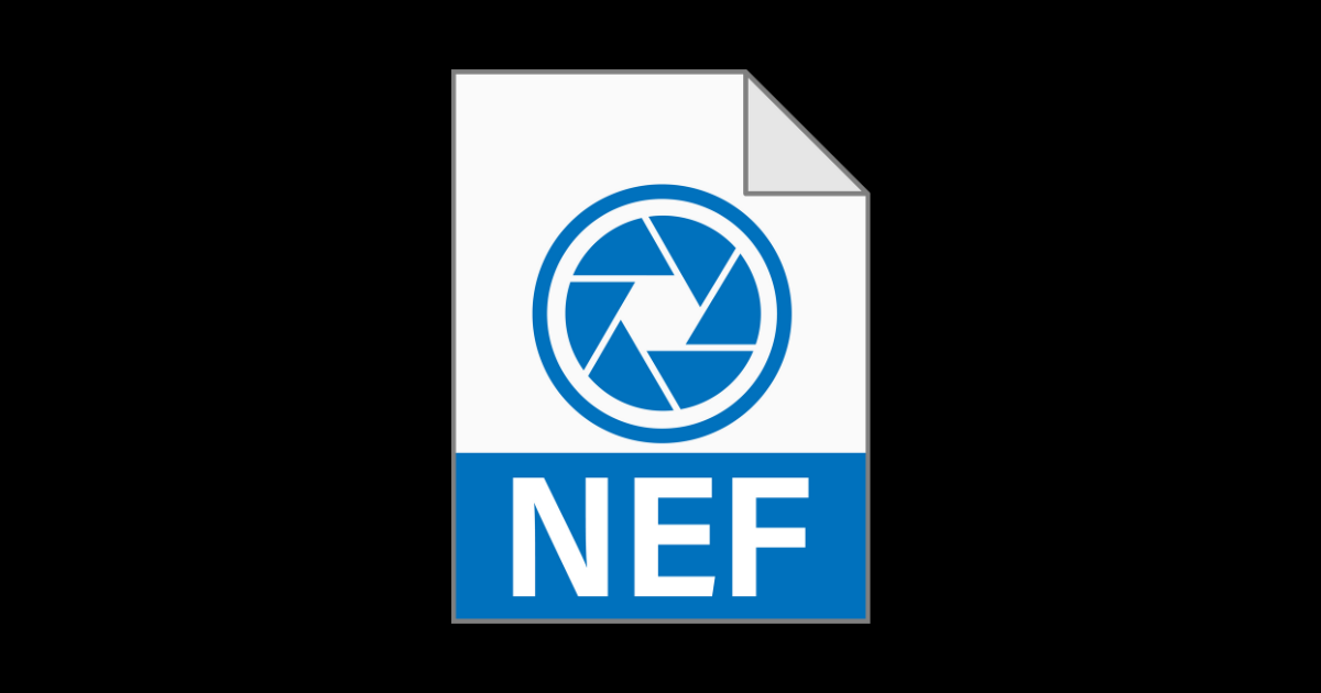 Understanding NEF Files