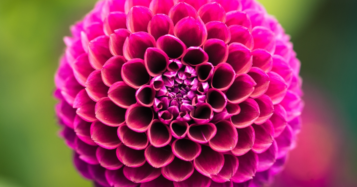 Understanding Symmetry in Photography