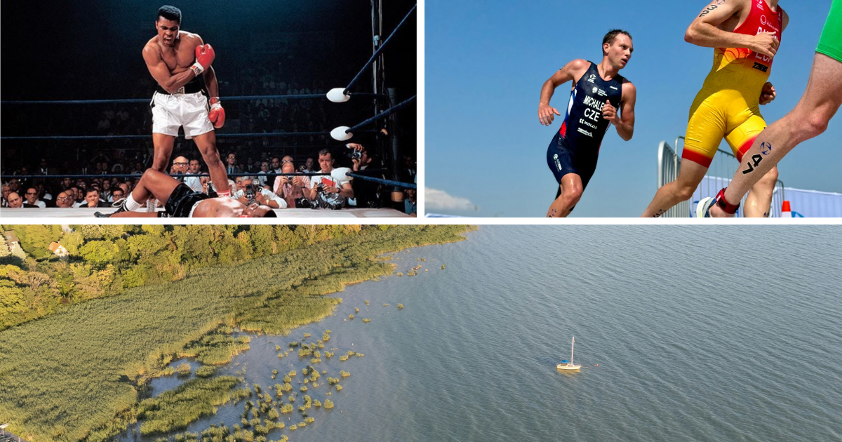 Vantage Point in Photography // High vs. Low Examples